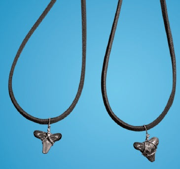 Shark Teeth & Pucca Shell Necklaces